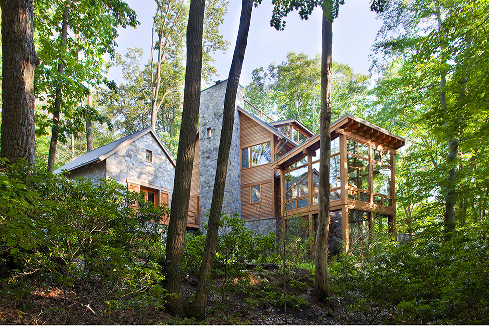 Into the Woods—Building Among the Trees. – Rill Architects